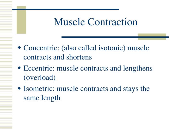 PPT - BIOMECHANICS OF WORK PowerPoint Presentation - ID:2715610