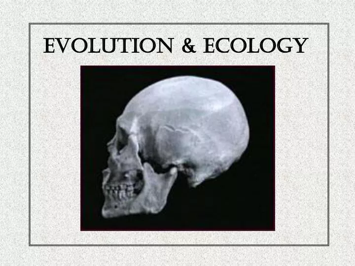 PPT - Evolution & Ecology PowerPoint Presentation, free download - ID ...