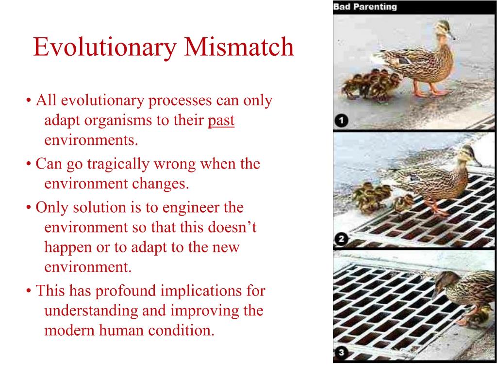 PPT - Evolving the Future Toward a Science of Intentional Change ACBS ...