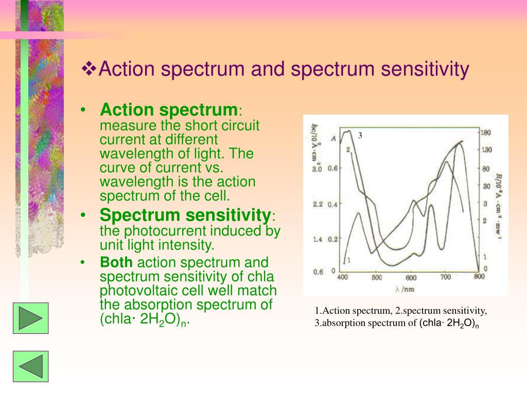 PPT - To Joseph Han’s Presentation about Chlorophyll-A Photovoltaic ...