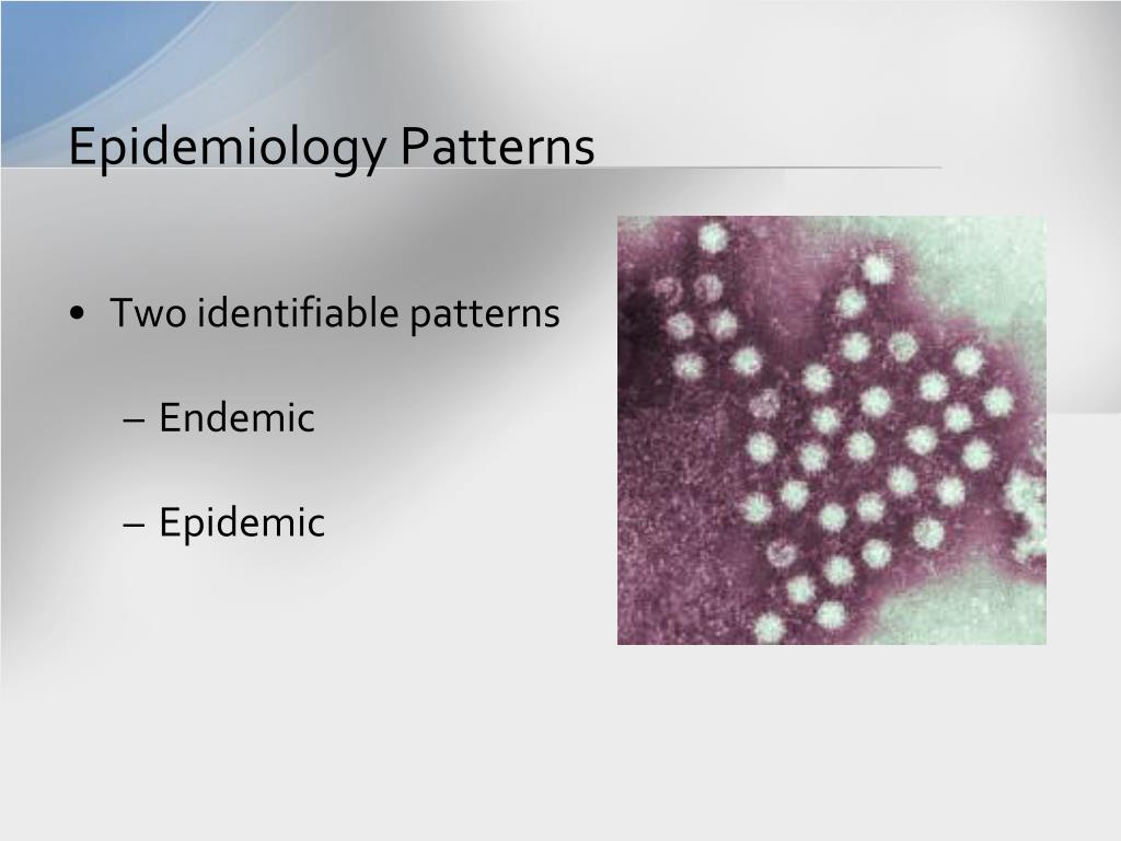PPT - Public Health Department Staff Presentation Epidemiology of Viral ...