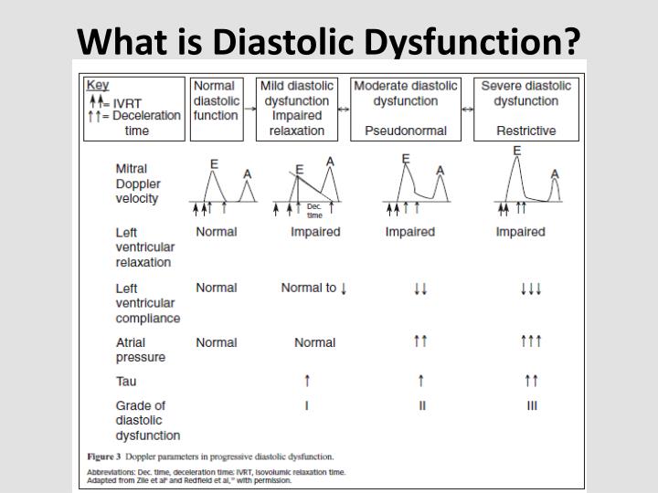 PPT - Diastolic Dysfunction as Diagnosed and Quantified by ...