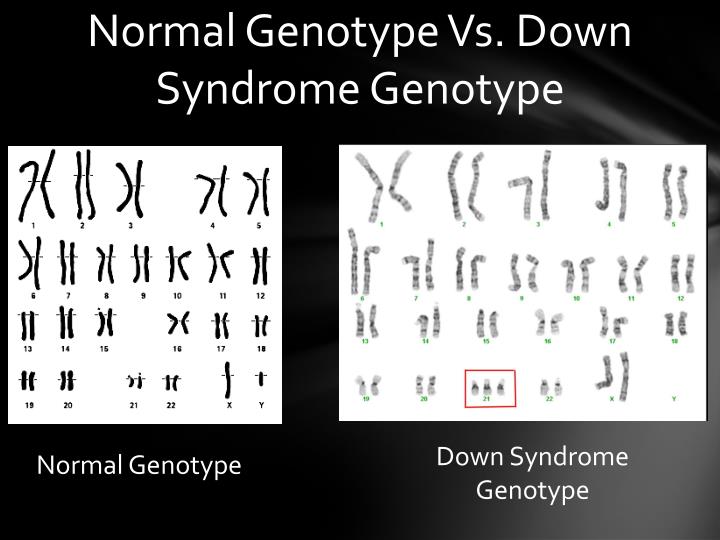 If An Individual Has Genotype Dd What Are They A