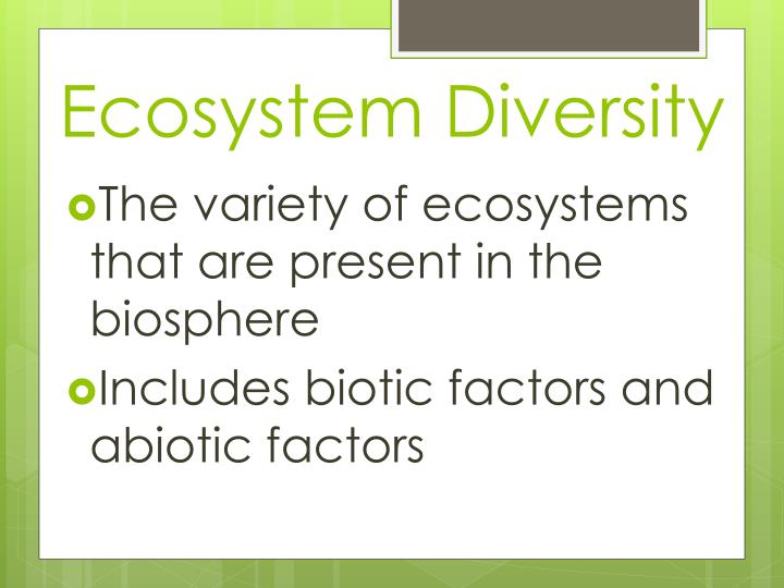 PPT - BIODIVERSITY PowerPoint Presentation - ID:2717379