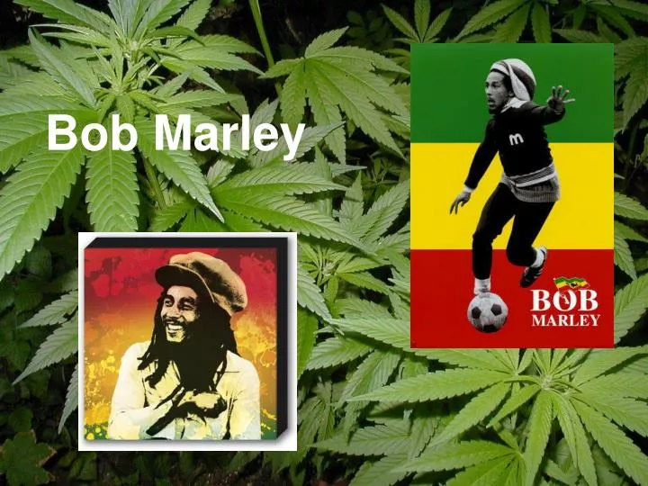 PPT - Bob Marley PowerPoint Presentation, free download - ID:2717426