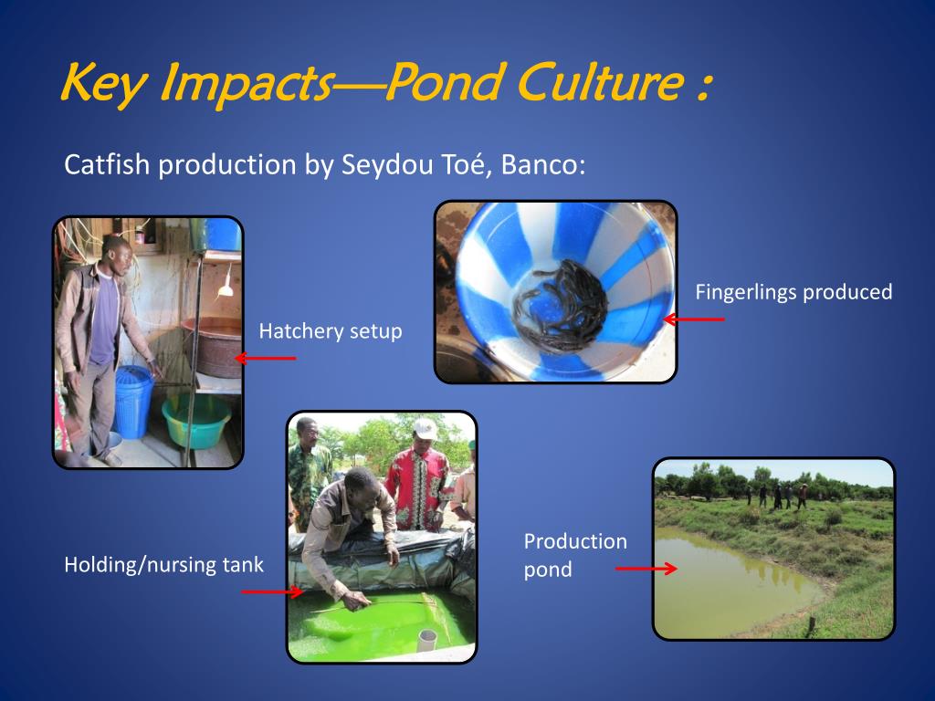 PPT - Aquatic Resource Use and Conservation for Sustainable Freshwater ...