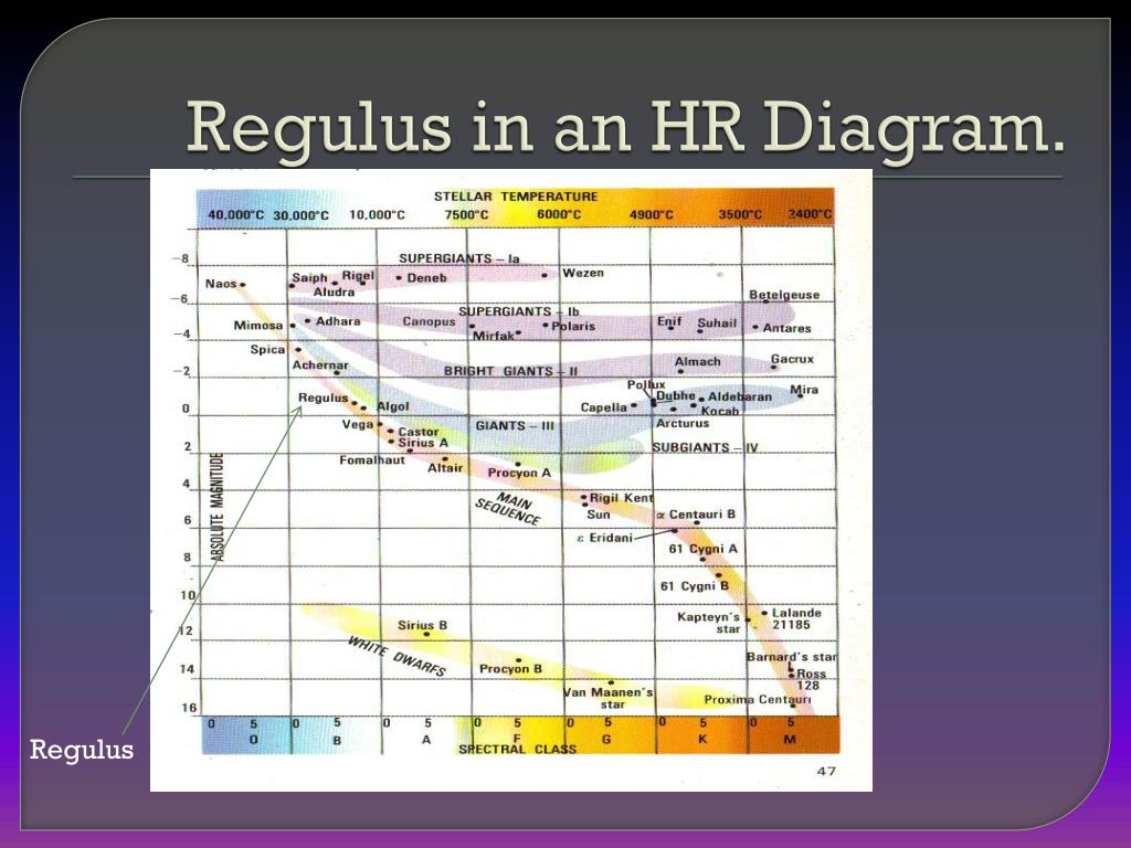 PPT - By: Carli Cosenza 1 st Hour PowerPoint Presentation, free ...