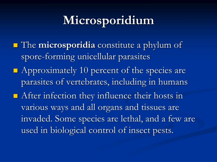PPT - GASTROINTESTINAL SYSTEM PROTOZOA -II- PowerPoint Presentation ...