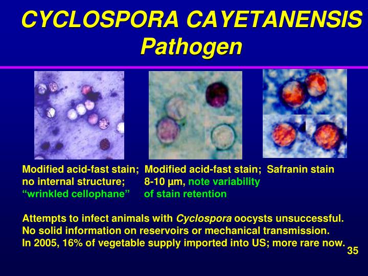PPT - 2013 PARASITOLOGY WORKSHOP Lynnegarcia2@verizon PowerPoint ...