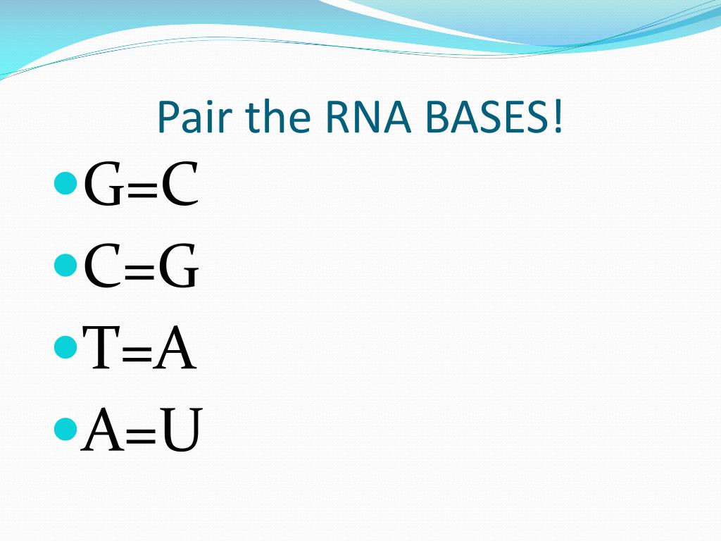 PPT - DNA vs. RNA: Understanding the Genetic Blueprint PowerPoint ...