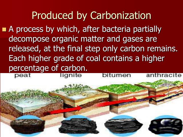 PPT - Section 11.2 Fossil Fuels PowerPoint Presentation - ID:2722665