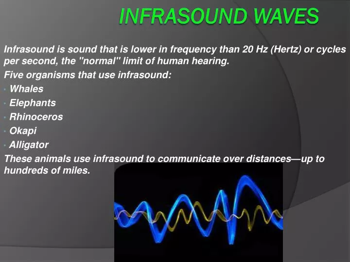 PPT - Infrasound Waves PowerPoint Presentation, free download - ID:2722670