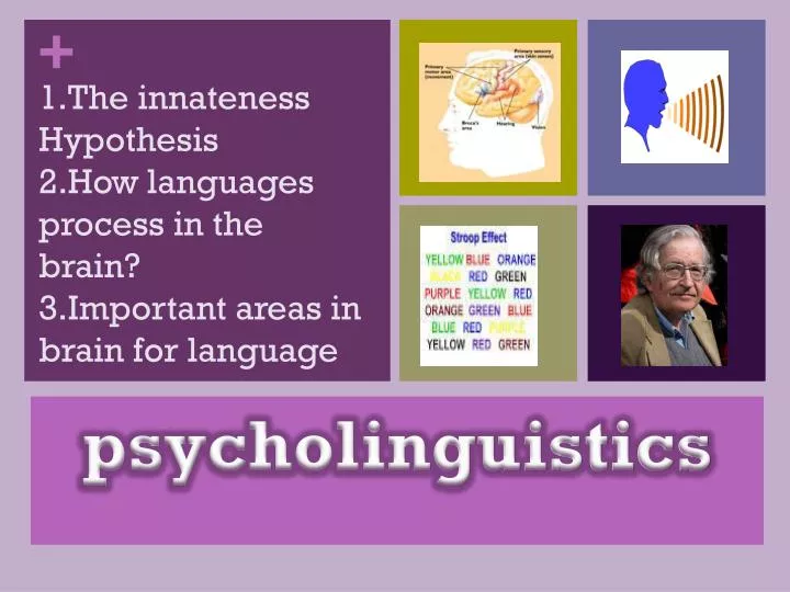 PPT - psycholinguistics PowerPoint Presentation, free download - ID:2723006