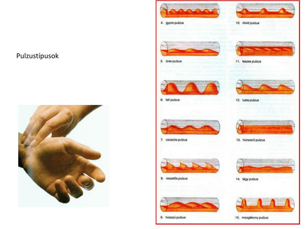 PPT - Az ayurveda diagnosztikája PowerPoint Presentation, free download ...