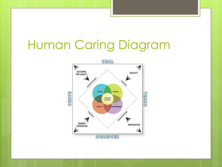 PPT - JEAN WATSON’S PowerPoint Presentation - ID:2723356