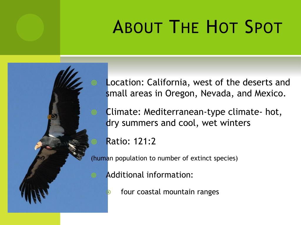 PPT - California Floristic Province PowerPoint Presentation, free ...