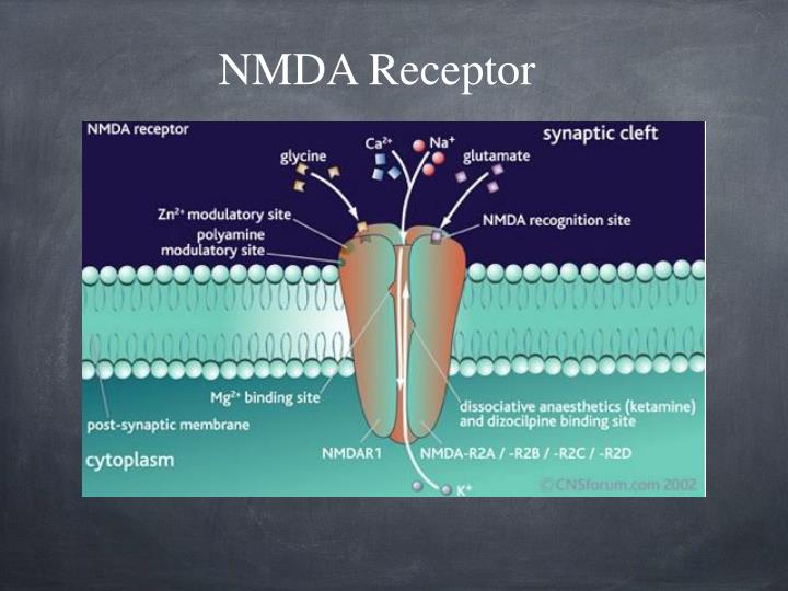 PPT - Ketamine: Another Useful Tool in the OR PowerPoint Presentation ...