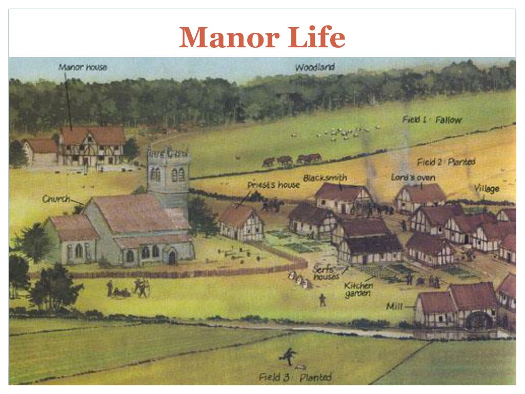 PPT - The Manor Life & The Town Life PowerPoint Presentation, free ...