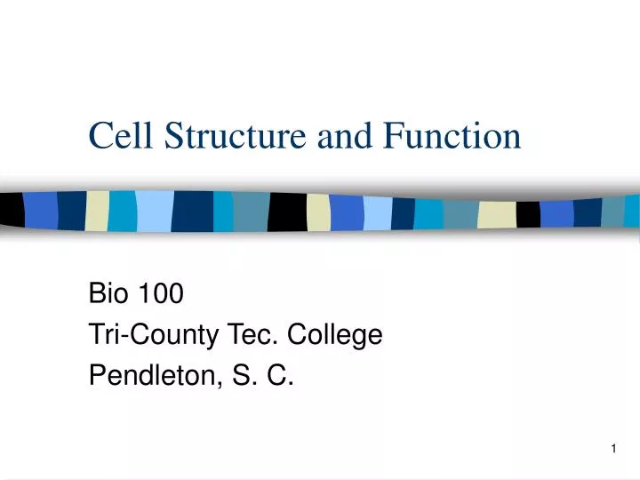 PPT - Cell Structure and Function PowerPoint Presentation, free ...