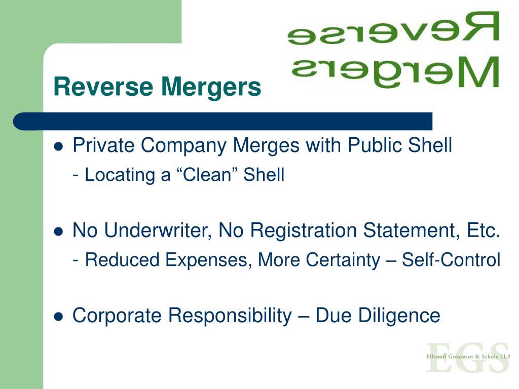 PPT - Going Public In The United States Barry I. Grossman and Douglas S ...