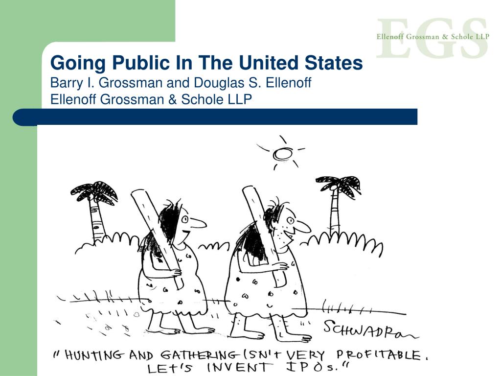 PPT - Going Public In The United States Barry I. Grossman and Douglas S ...