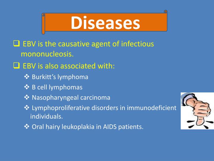 PPT - Epstein-Barr virus (EBV) PowerPoint Presentation - ID:2726911