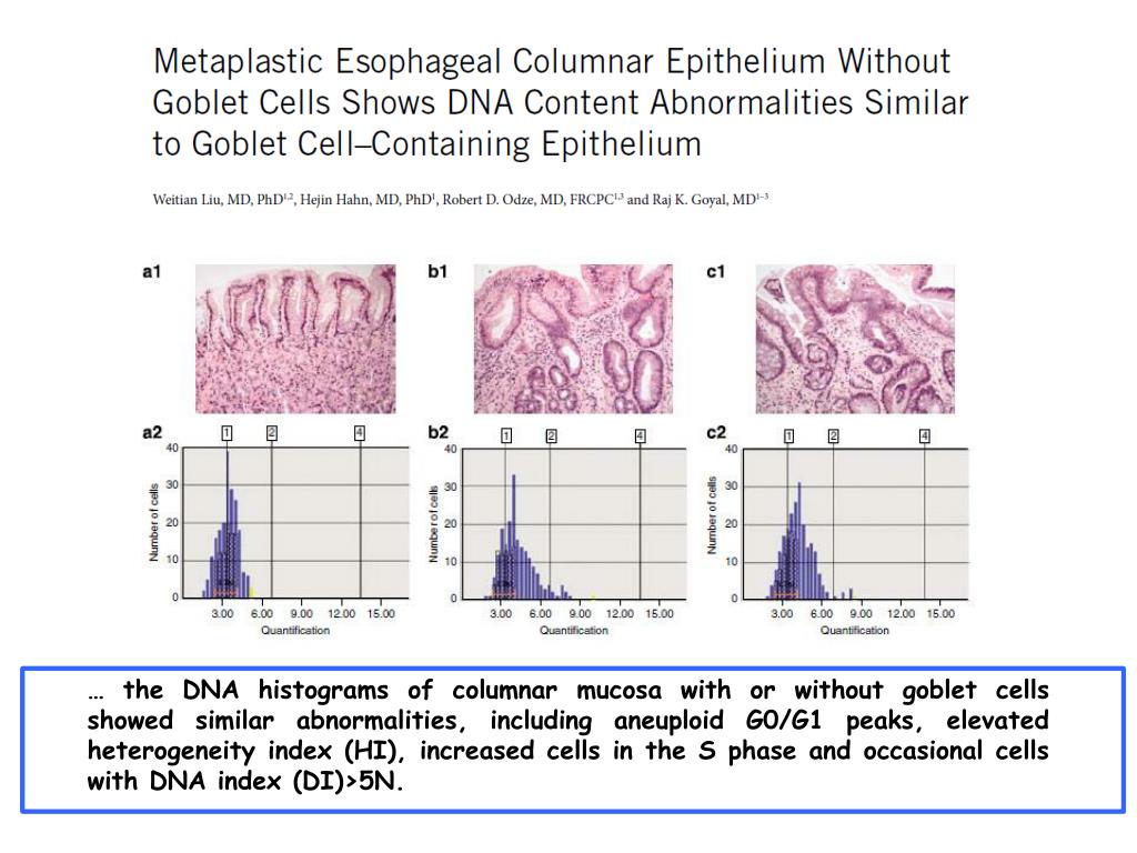 PPT - Roberto Fiocca Anatomia Patologica Università di Genova ...