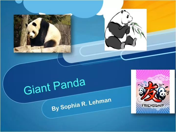 PPT - Giant Panda PowerPoint Presentation, free download - ID:2728418