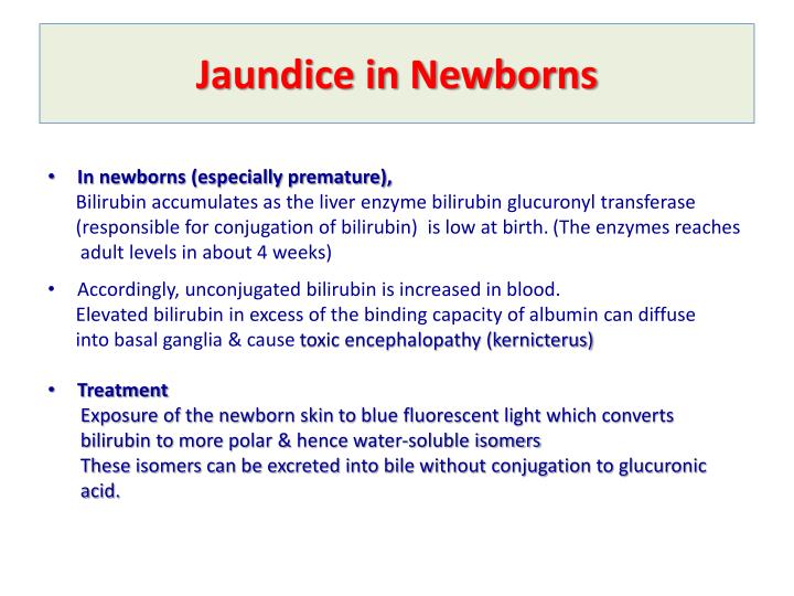 PPT - Bilirubin Metabolism & Jaundice PowerPoint Presentation - ID:2728598