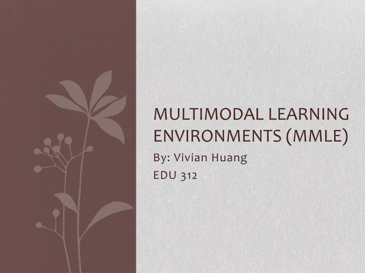 PPT - Multimodal Learning Environments ( mmle ) PowerPoint Presentation ...