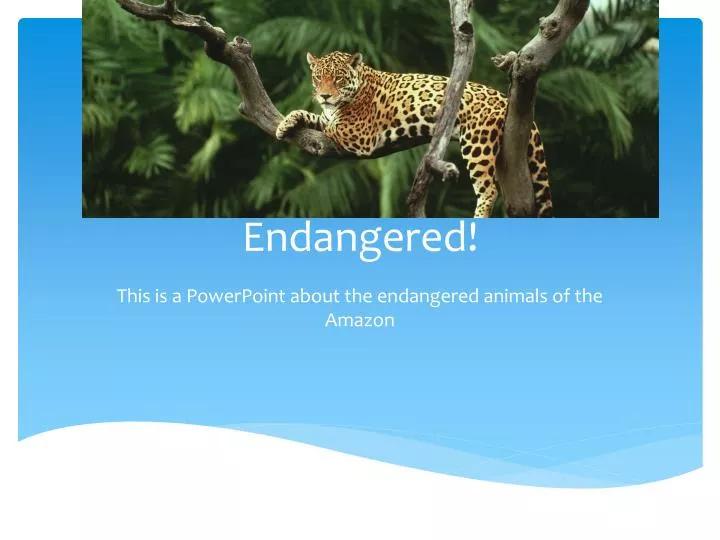 PPT - Endangered! PowerPoint Presentation, free download - ID:2729437