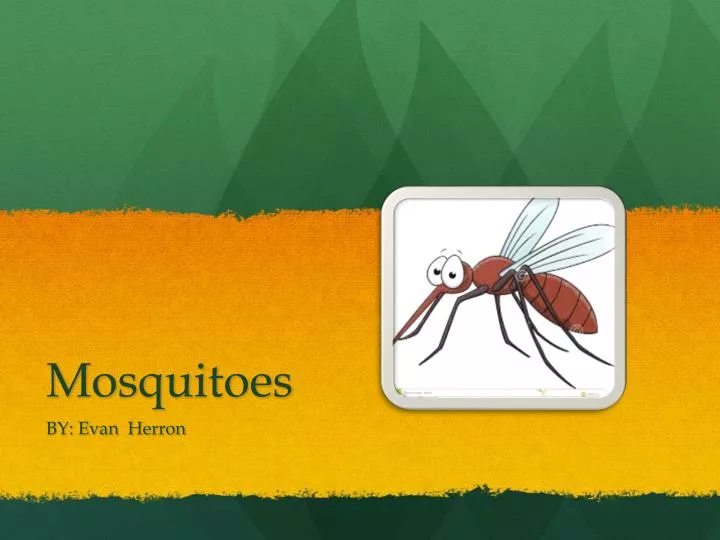 PPT - Mosquitoes PowerPoint Presentation, free download - ID:2729633