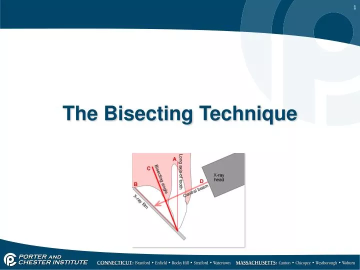 PPT - The Bisecting Technique PowerPoint Presentation, free download ...