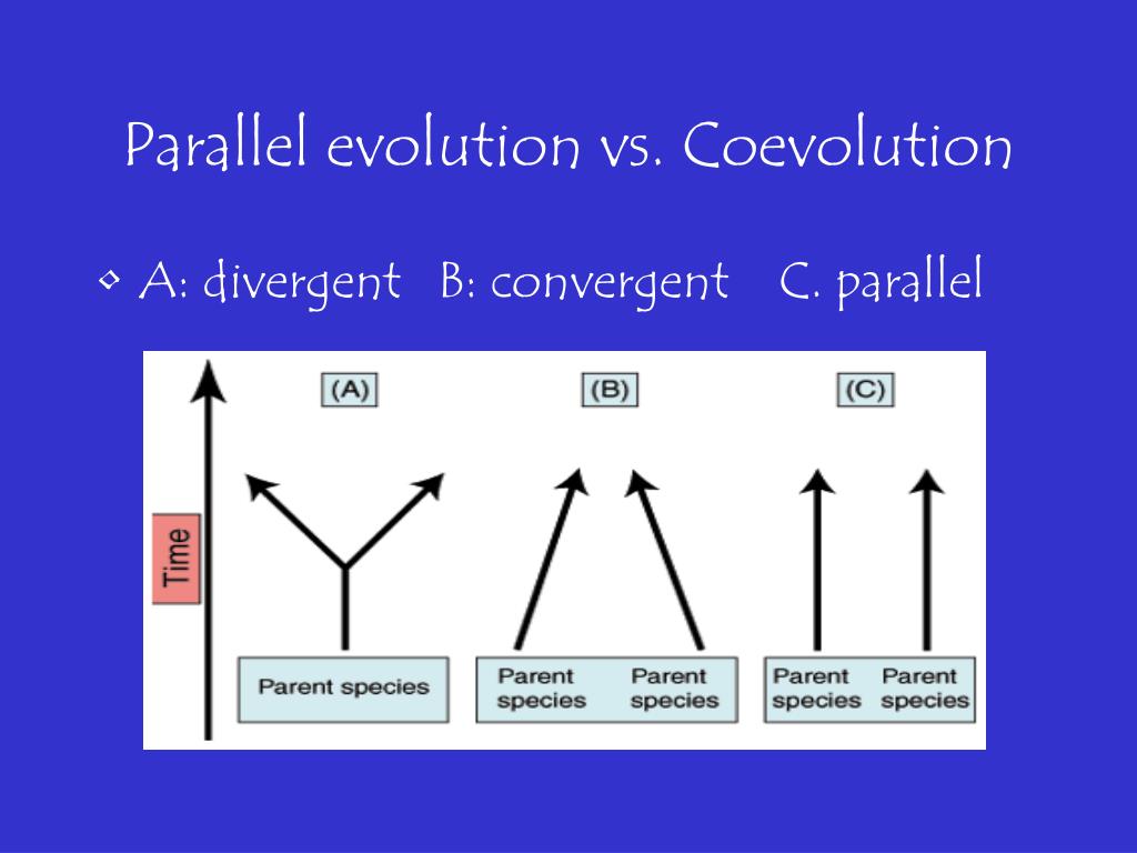 PPT - Nothing in biology makes sense except in the light of evolution ...