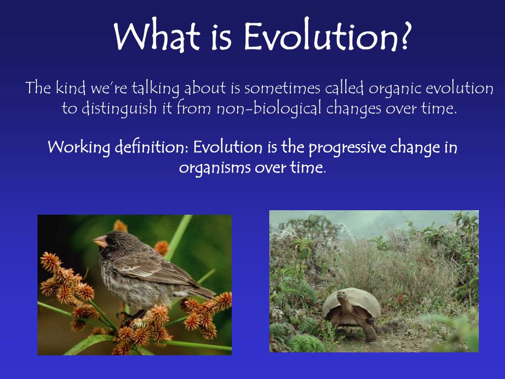 PPT - Nothing in biology makes sense except in the light of evolution ...