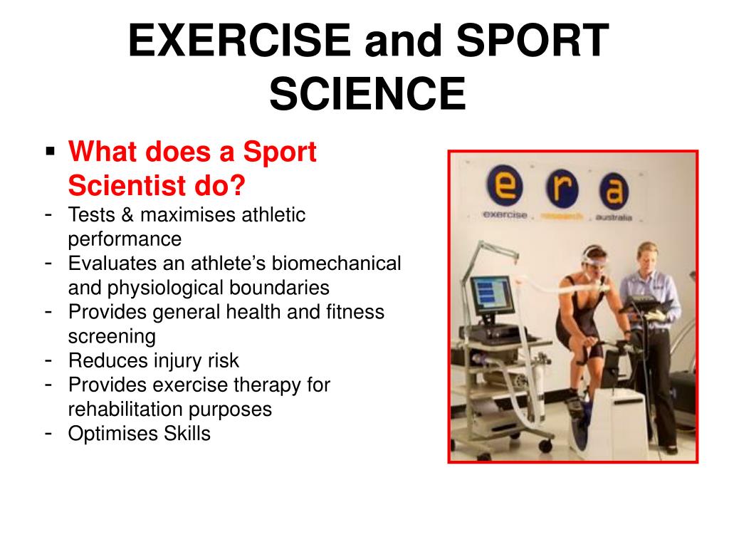 PPT - Professor Stephen Bird Exercise Sciences School of Medical ...