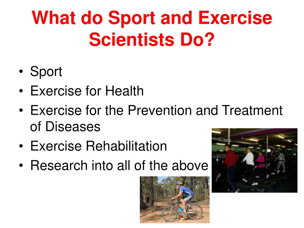 PPT - Professor Stephen Bird Exercise Sciences School of Medical ...
