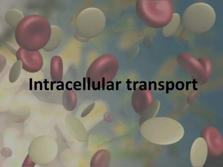 PPT - Intracellular transport PowerPoint Presentation, free download ...