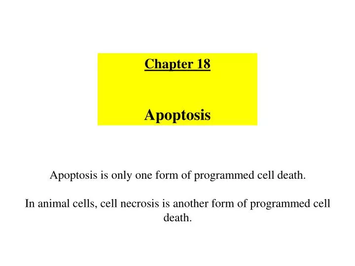 PPT - Chapter 18 Apoptosis PowerPoint Presentation, free download - ID ...