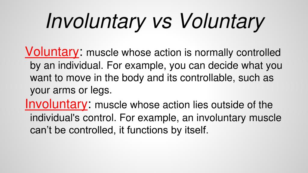 PPT - Roger Farfan, Azucena Noriega, Brandon Major ,Biology Period 6 ...