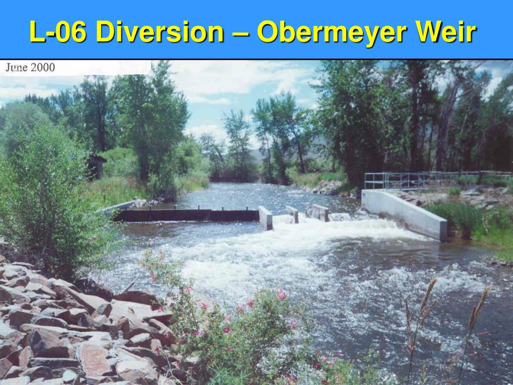 PPT - Chinook Salmon, the Fish Screen, and a Vanishing River ...