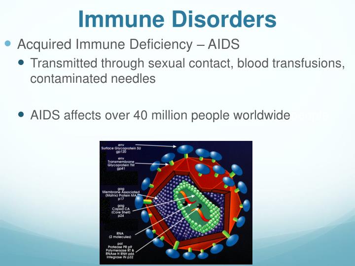 PPT - Immune System PowerPoint Presentation - ID:2733174