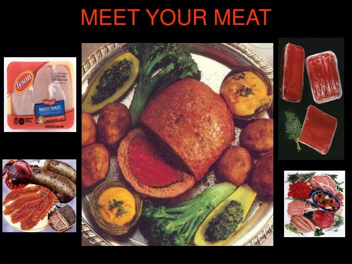 PPT - MEET YOUR MEAT PowerPoint Presentation, free download - ID:2733533