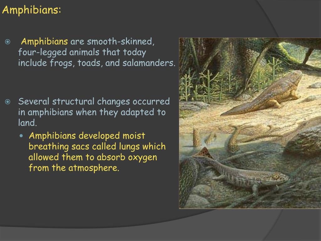 PPT - Biology 12.3 History Life on Earth: Life Invaded the Land ...