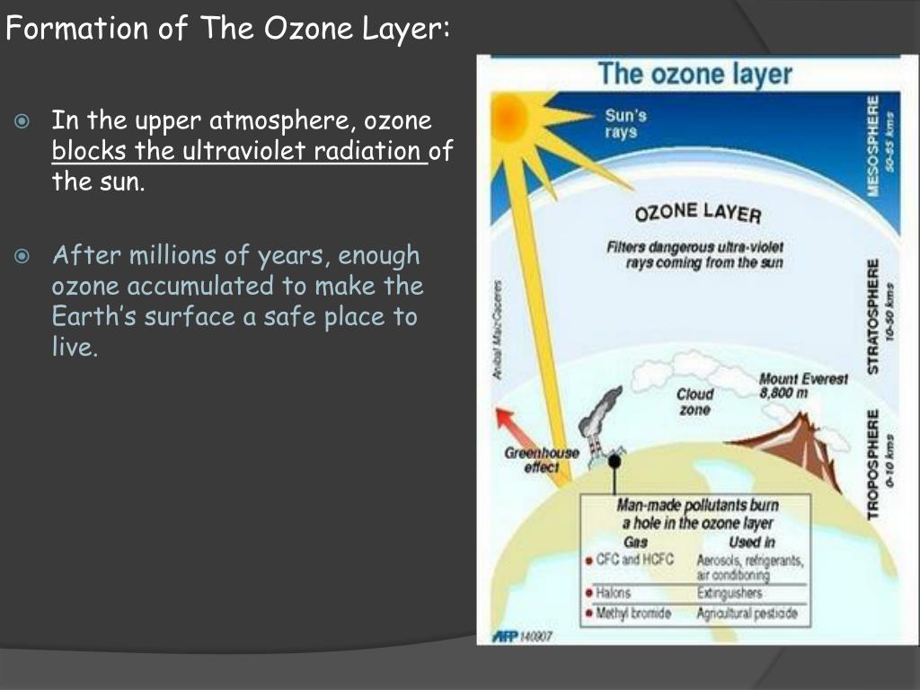 PPT - Biology 12.3 History Life on Earth: Life Invaded the Land ...