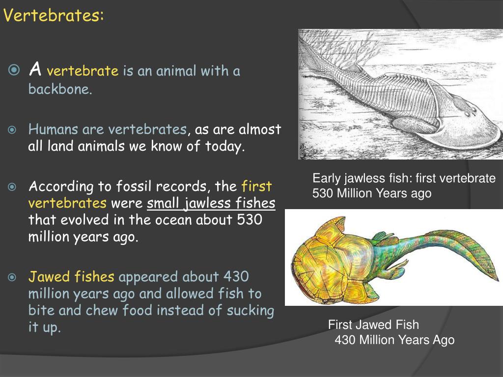 PPT - Biology 12.3 History Life on Earth: Life Invaded the Land ...