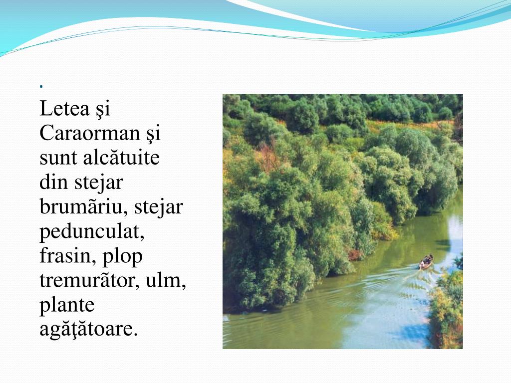 PPT - Rezervatia Naturala Delta Dunarii PowerPoint Presentation, free ...