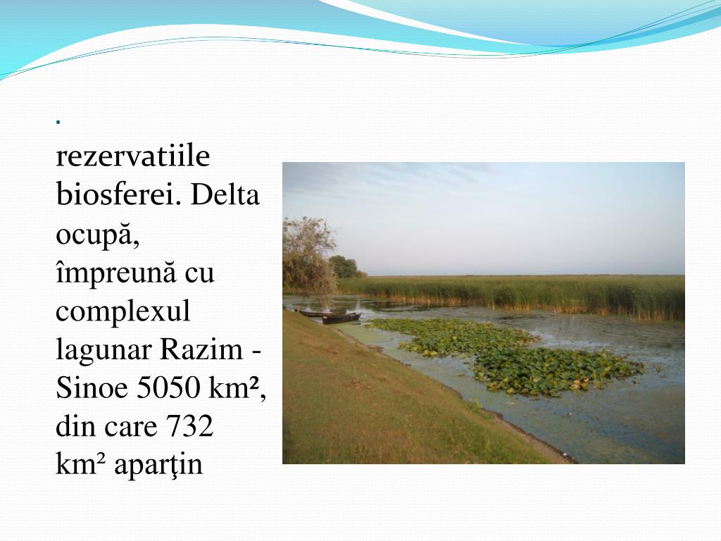 PPT - Rezervatia Naturala Delta Dunarii PowerPoint Presentation, free ...