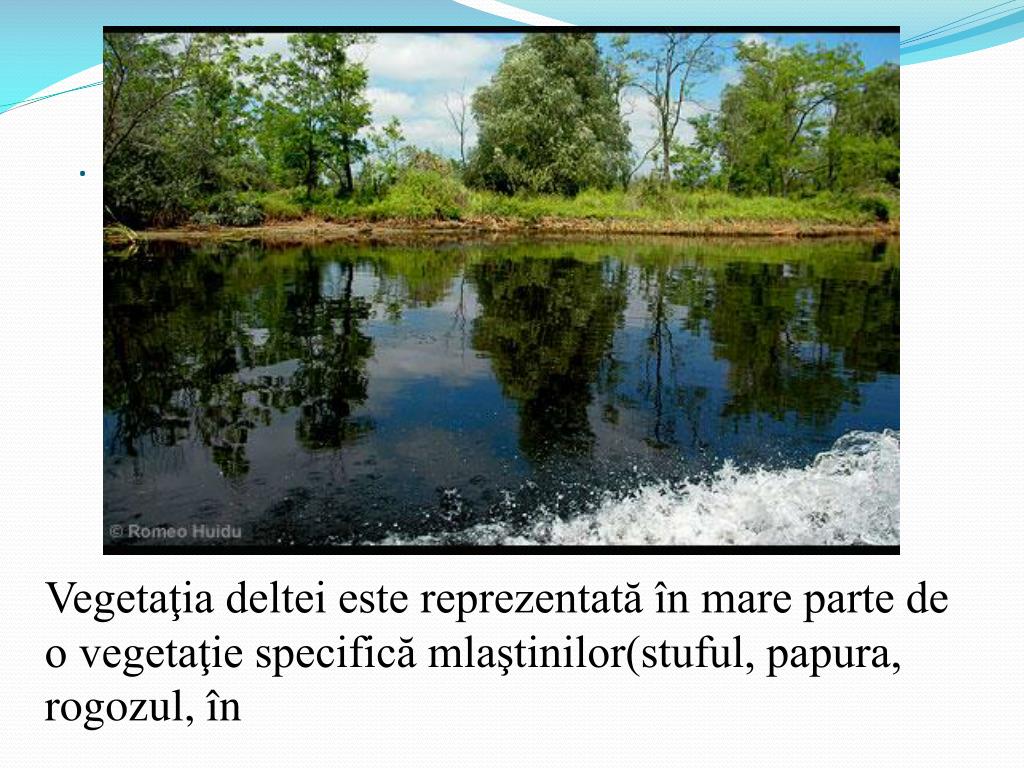 PPT - Rezervatia Naturala Delta Dunarii PowerPoint Presentation, free ...