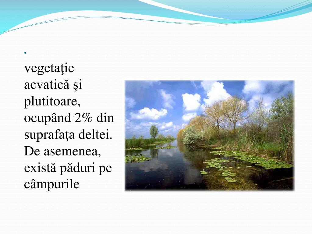 PPT - Rezervatia Naturala Delta Dunarii PowerPoint Presentation, free ...